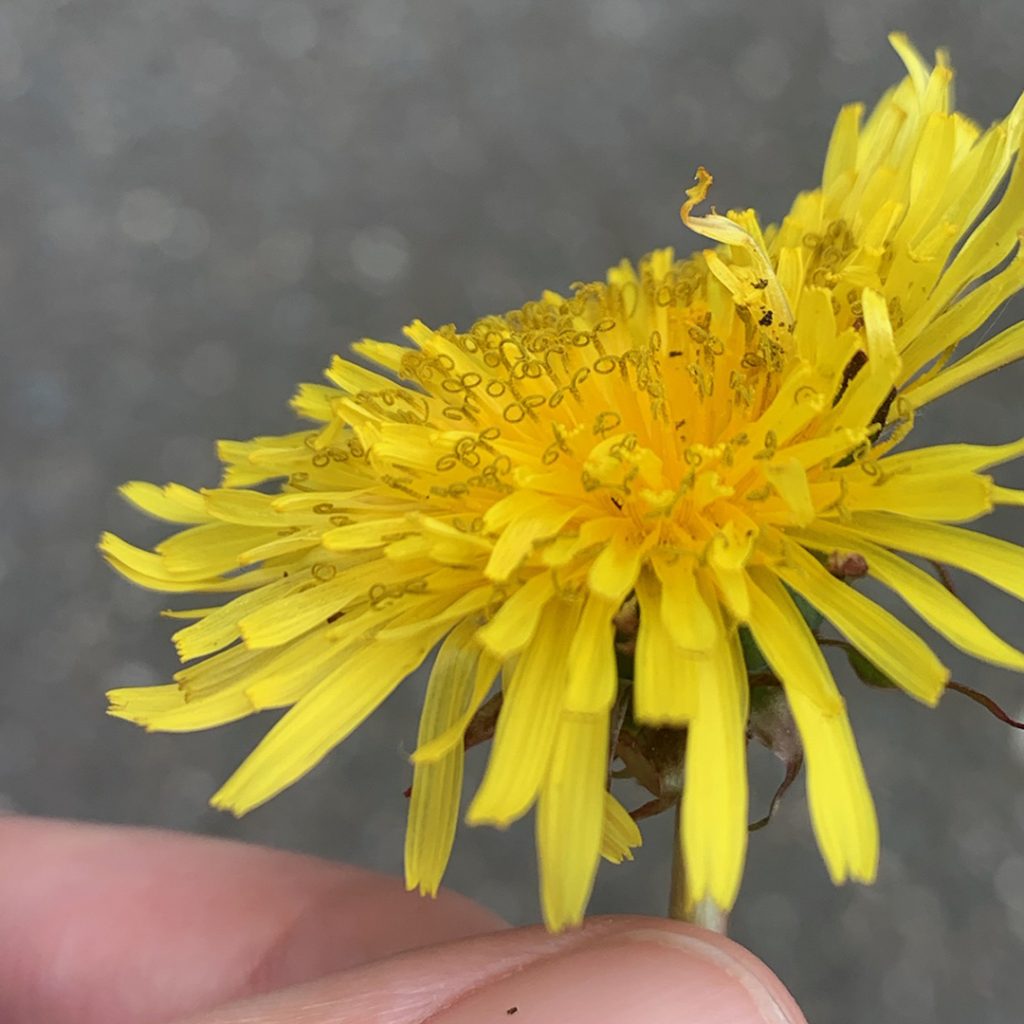 Poorneet: Tadpole Season - TarraWarra Museum of Art