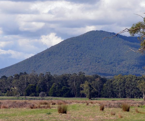 Exhibitions - TarraWarra Museum of Art