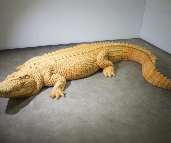 What’s On - TarraWarra Museum of Art