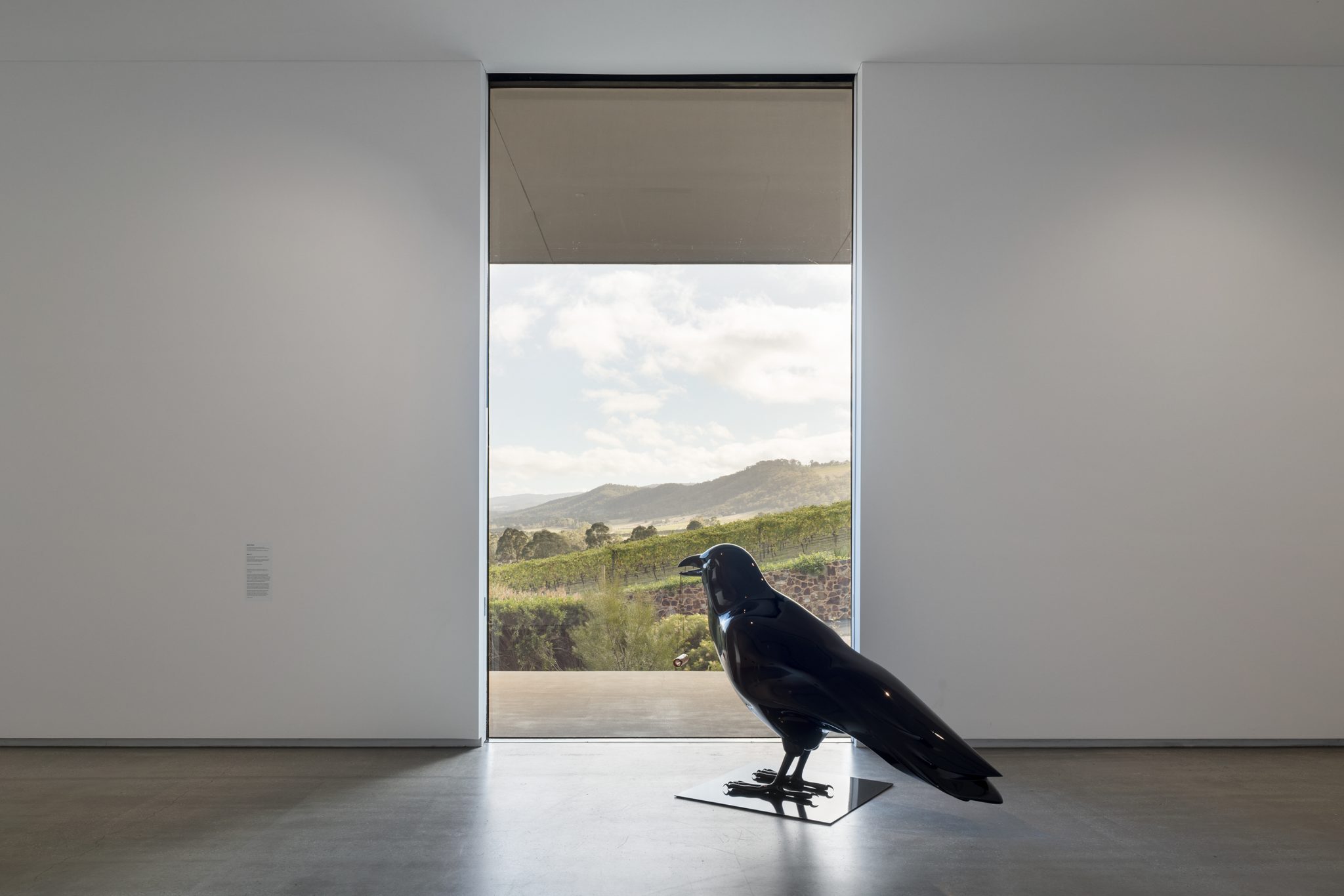 TarraWarra Biennial 2025: We Are Eagles - TarraWarra Museum of Art